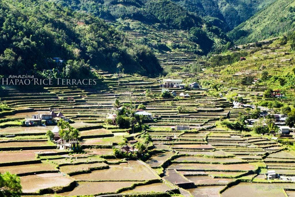 HAPAO Rice Terraces: a UNESCO Heritage site – The Kapampangan Traveller