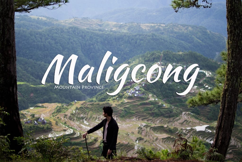 Maligcong Rice Terraces: travel guide – The Kapampangan Traveller