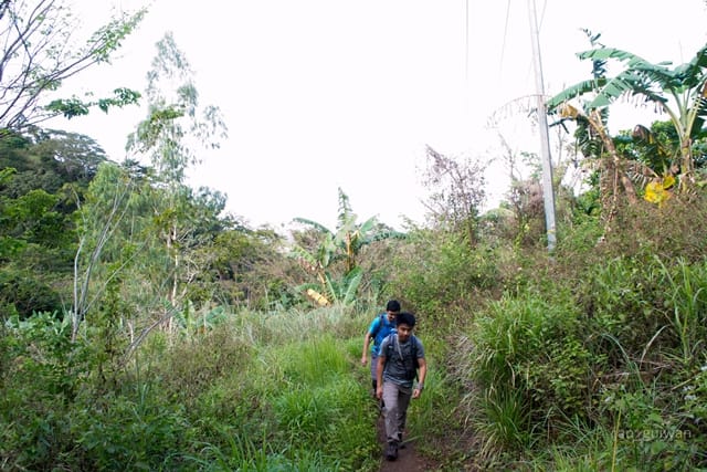 traversing MT. ARAYAT – lone summit in PAMPANGA – The Kapampangan Traveller