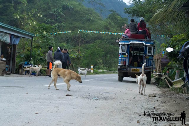 CAPISAAN CAVE SYSTEM | Kasibu, NUEVA VISCAYA: a travel guide – The ...