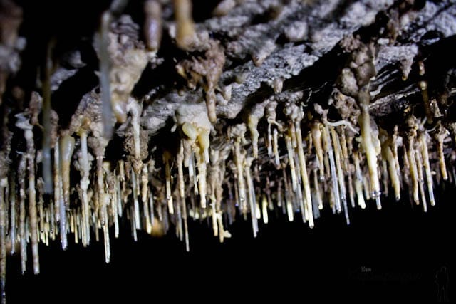 CAPISAAN CAVE SYSTEM | Kasibu, NUEVA VISCAYA: a travel guide – The ...