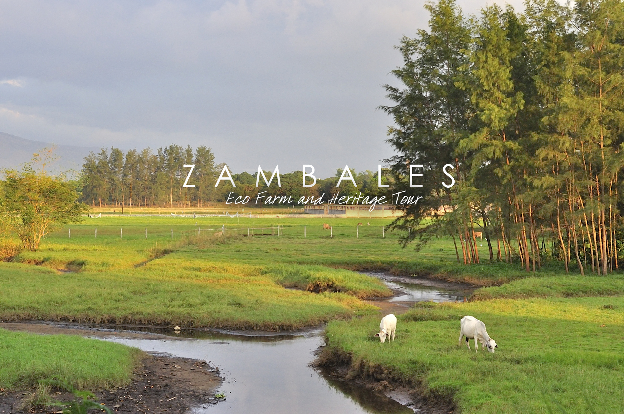 ZAMBALES: Heritage and Eco Farm Tours – The Kapampangan Traveller