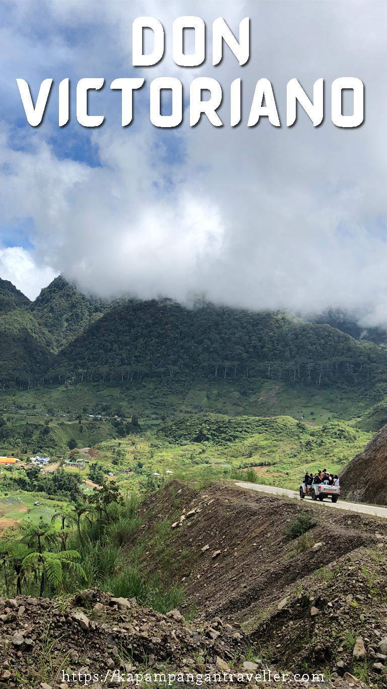 Discover Mindanao’s secret plump and pointy strawberries at Don Victoriano, Misamis Occidental ...