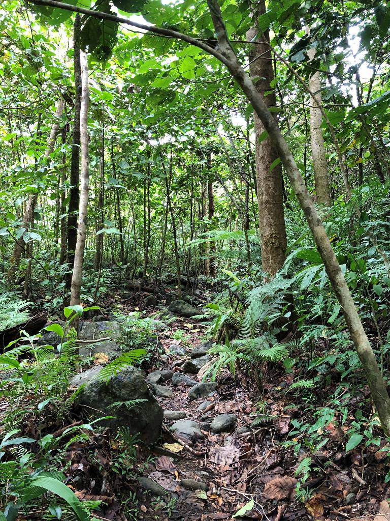 UNCOVER THE SECRETS OF GENERAL NAKAR, QUEZON | A Travel Guide for ...