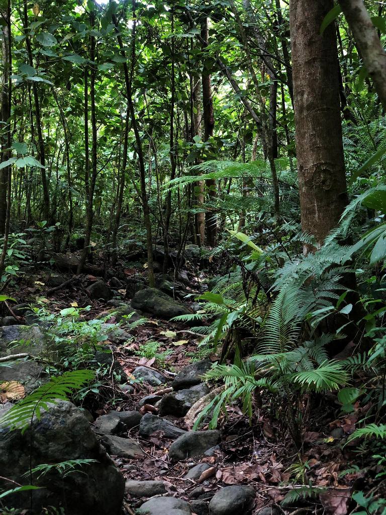 UNCOVER THE SECRETS OF GENERAL NAKAR, QUEZON | A Travel Guide for Adventure Seekers - The ...