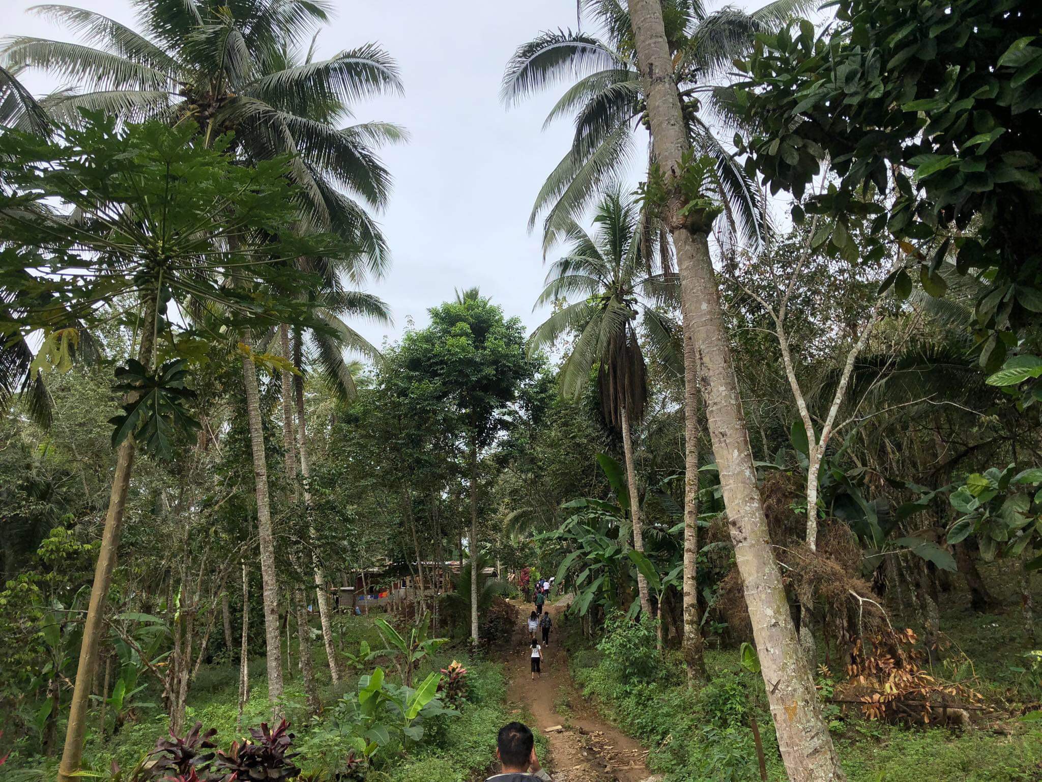 SALINTA MONON: Awarded Bagobo Weaver Who Saved The Inabal Weaving ...